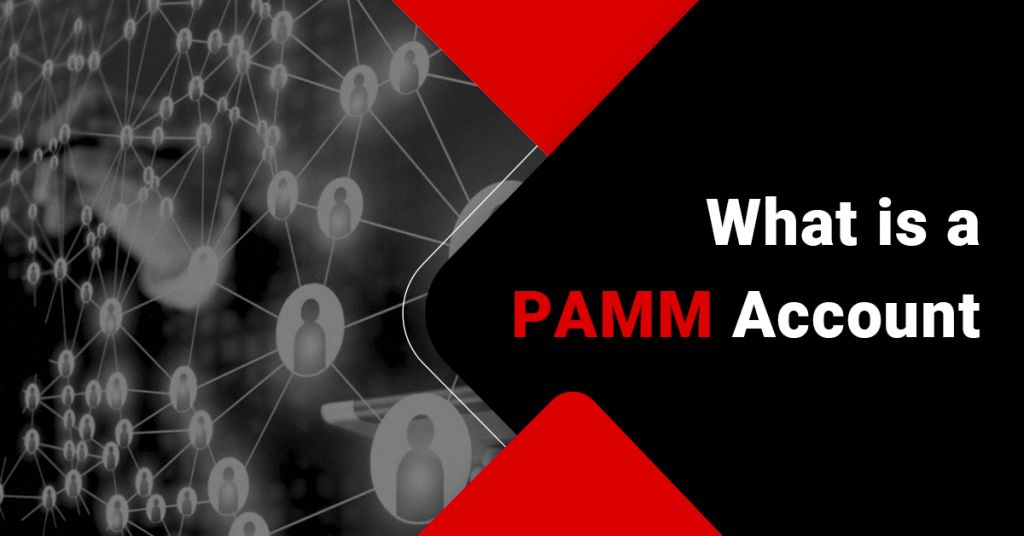 What is a PAMM Account? - Xtreamforex