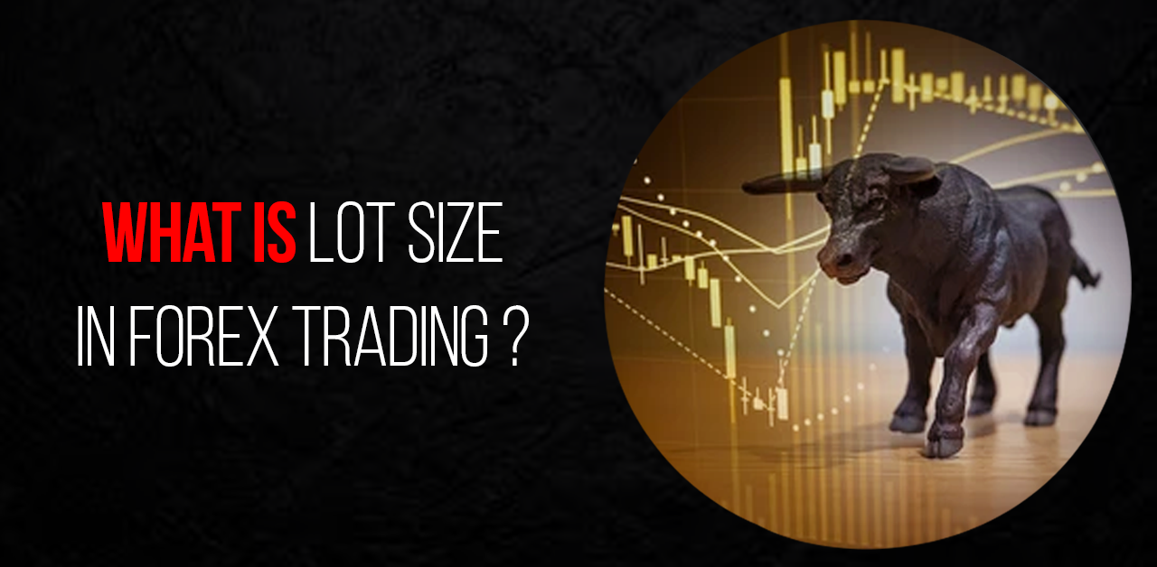 What Is Lot Size in Forex Trading ? - Xtreamforex